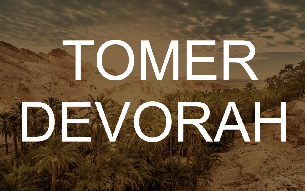 Home - Rabbi Yaacov Haber - A New World of Torah