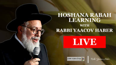 Hoshana Rabbah - Rabbi Yaacov Haber